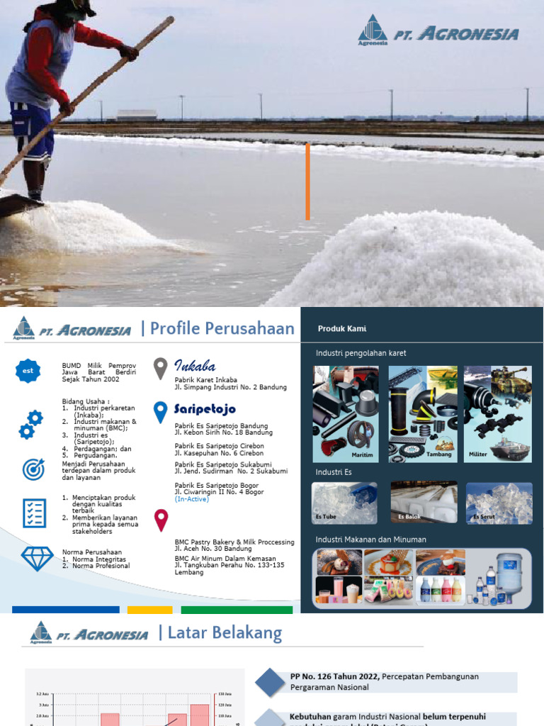 Executive - Summary - Pengolahan - Garam 4 Ton Per Jam Di Cirebon | PDF