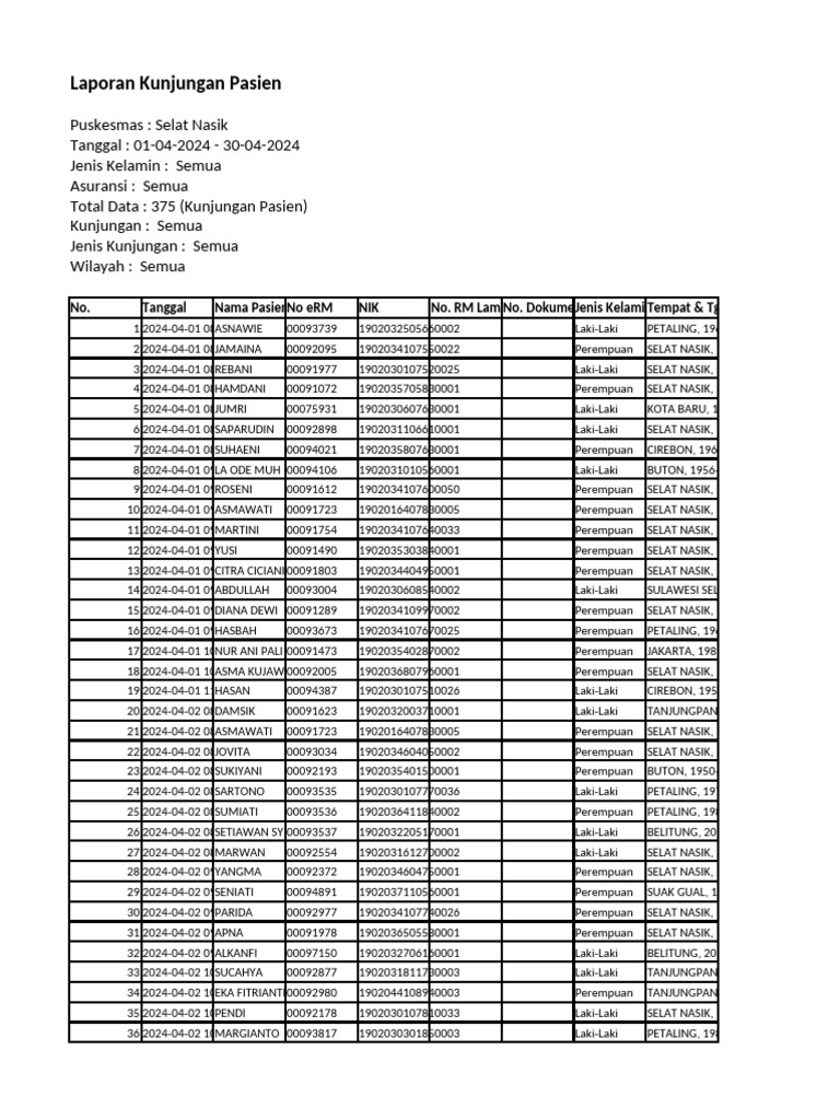 Laporan Kunjungan Pasien | PDF