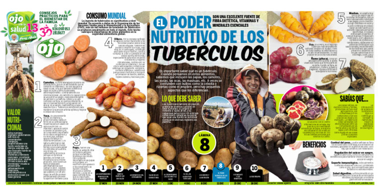 Beneficios Nutricionales de los Tubérculos | PDF | Alimentos | Nutrición