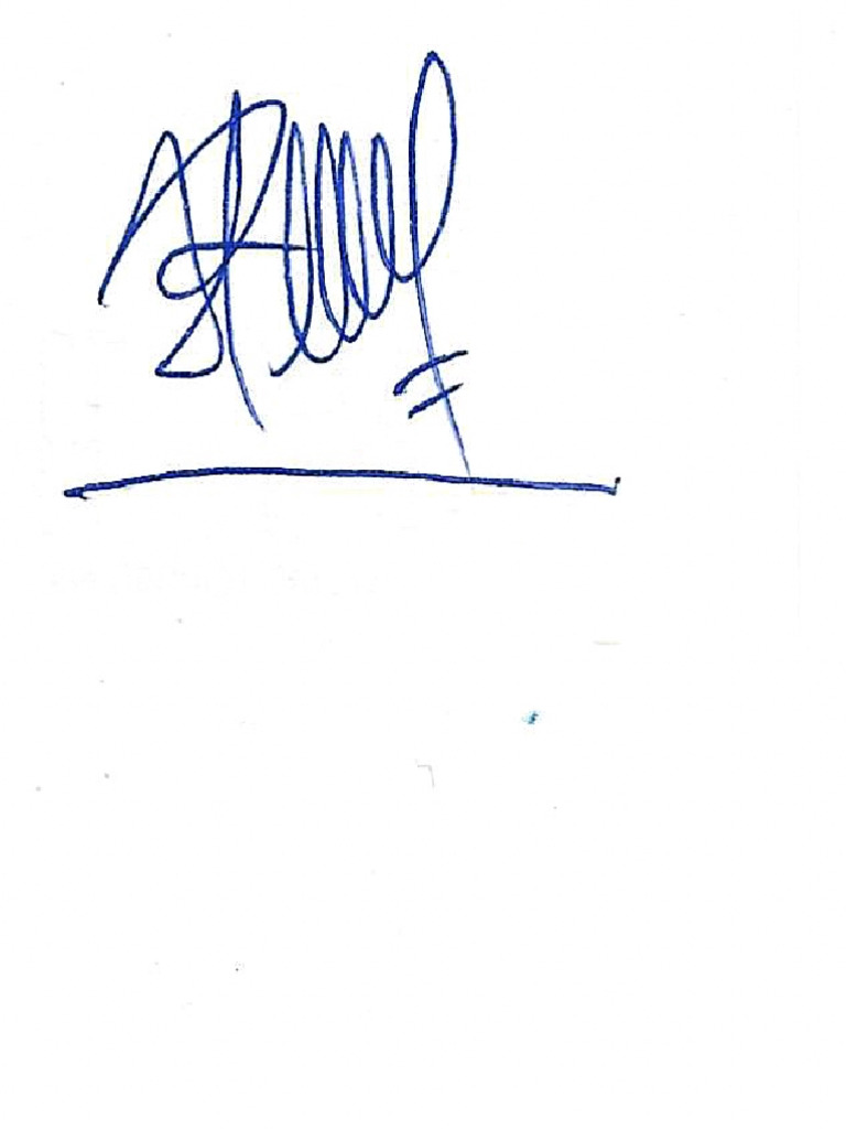 Handwritten 2024-12-03 100600 | PDF