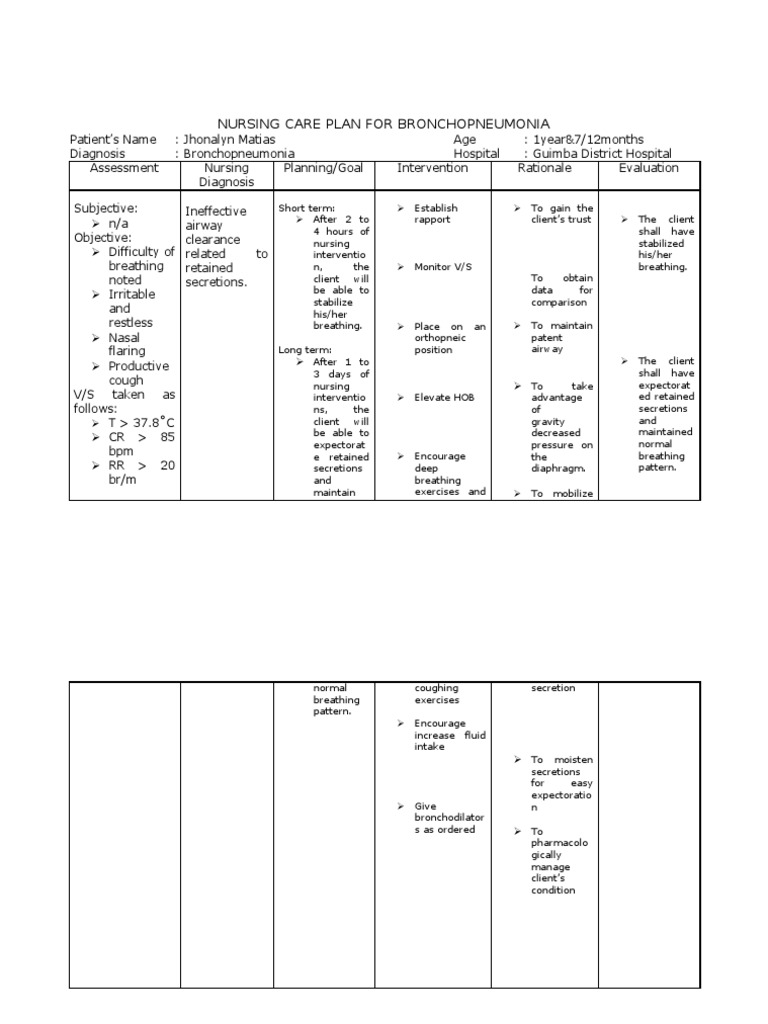 BPN NCP | PDF | Diseases And Disorders | Medicine