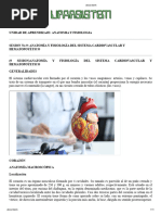 Anatomía del Corazón en Caballos | PDF | Corazón | Ventrículo (corazón)