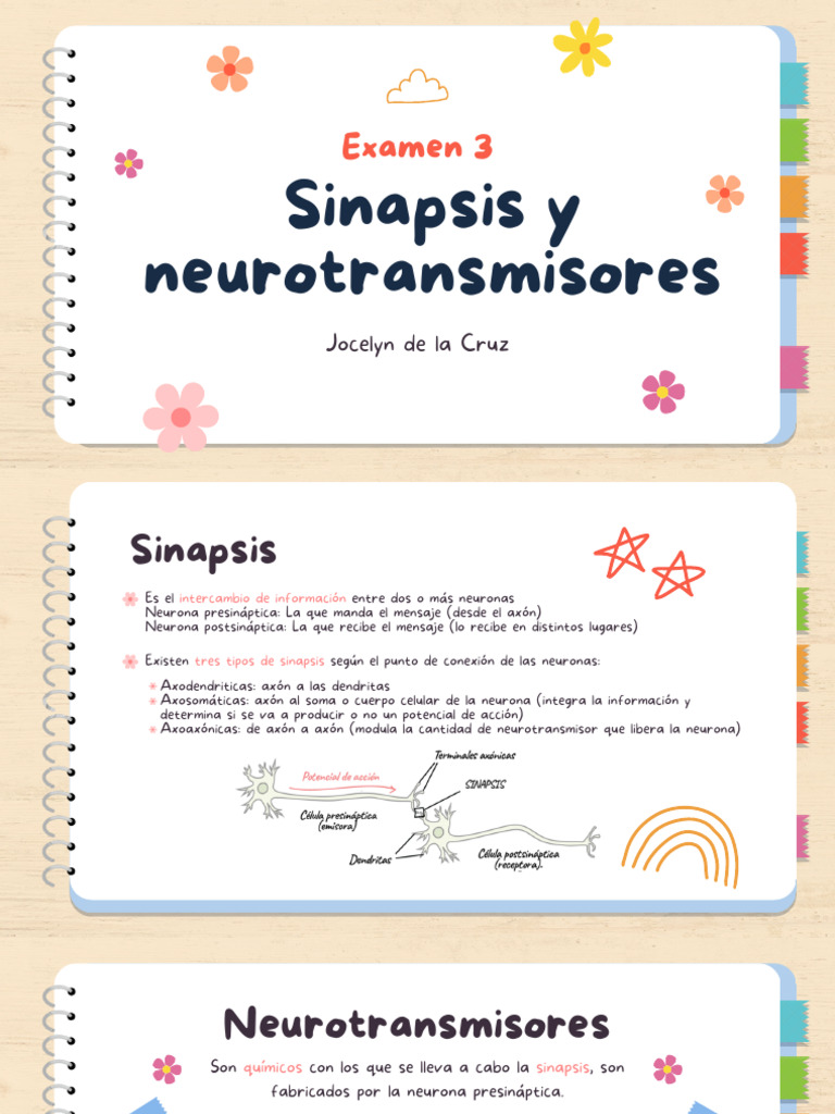 Sinapsis y neurotransmisores en neuronas | PDF | Sinapsis | Dopamina