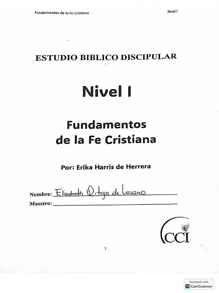 Fundamentos Fe Cristiana | PDF