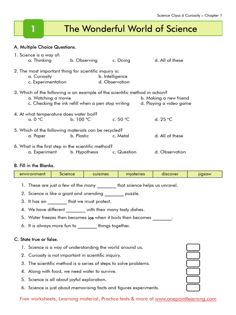 Class 6 Science Chapter 1 The Wonderful World of Science | PDF ...