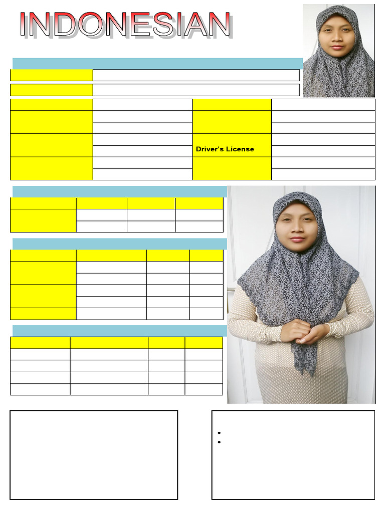 Manpower Supply Professional Profile | PDF