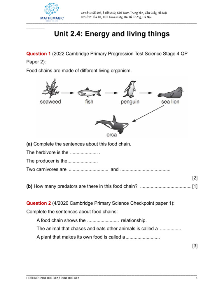Unit 2.4 - Energy and Living Things | PDF | Foods | Predation