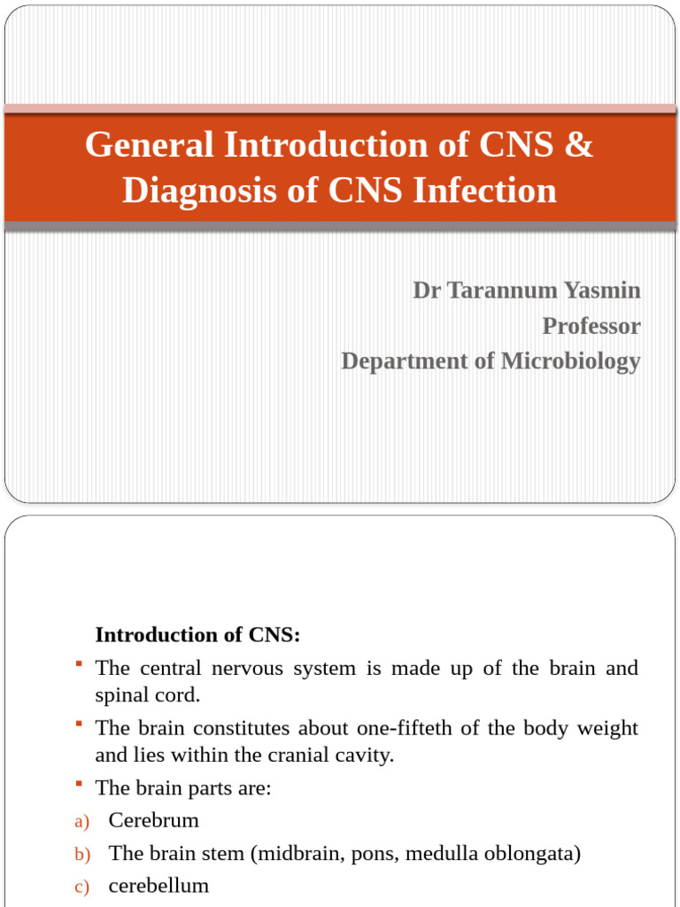 General Introduction of CNS & Diagnosis of CNS | PDF | Brainstem | Cerebrum