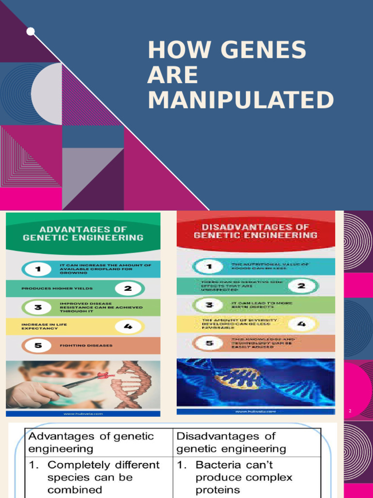 Genetic Engineering: Techniques & Impacts | PDF | Genetically Modified ...