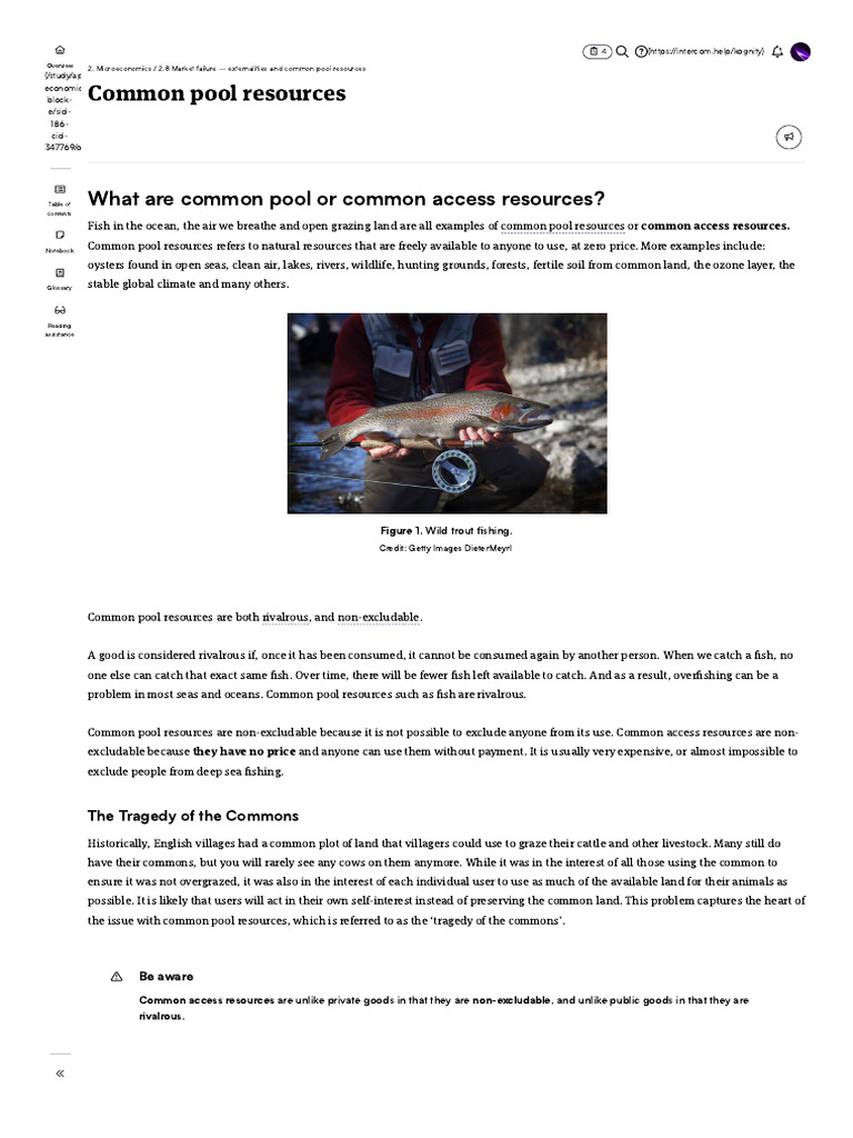Common Pool Resources - IB DP Economics HL FE2024 | PDF | Emissions ...