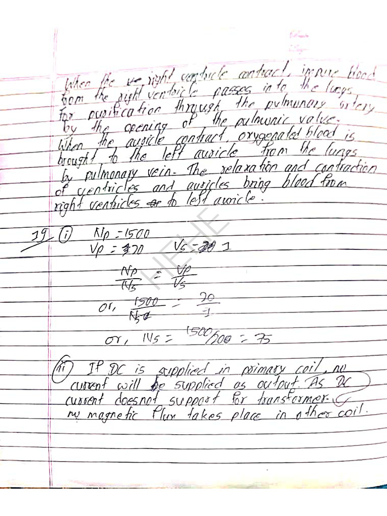 2080 SEE Lumbini Science Questions Solve | PDF