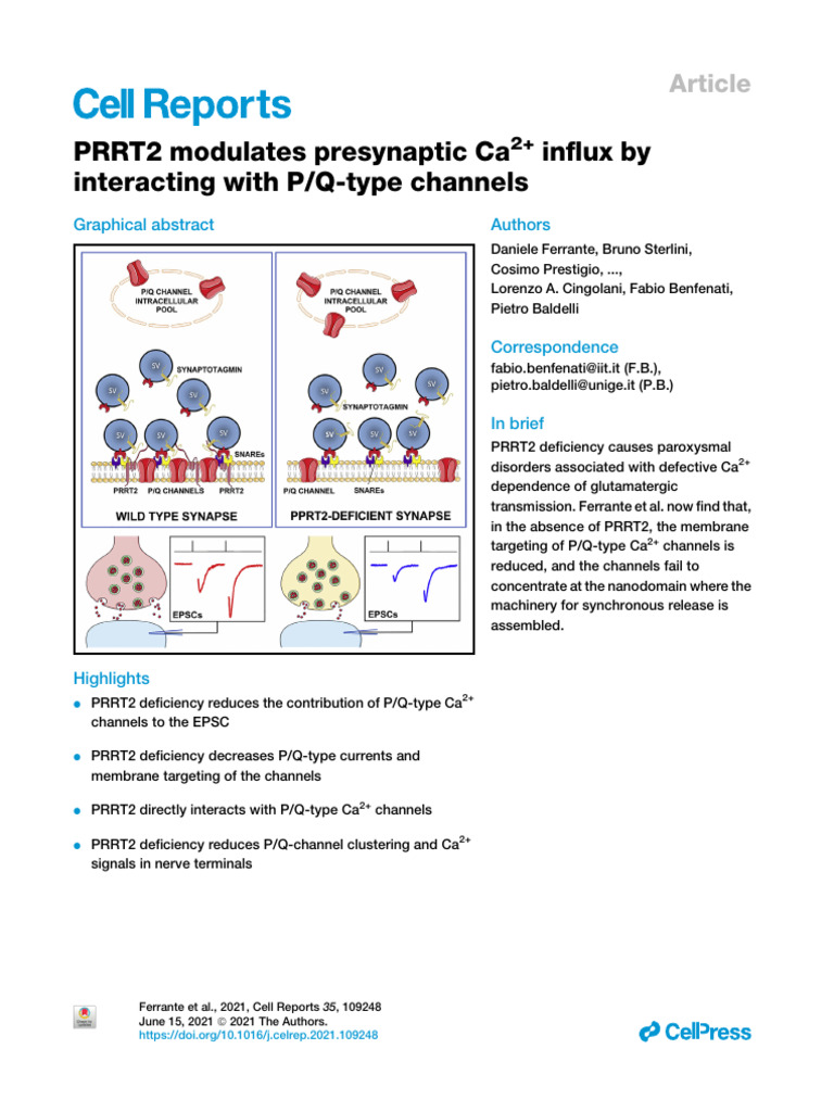 Cell Rep 21 PRRT2 On Presynaptic Cav2.1 Trafficking | PDF | Synapse ...