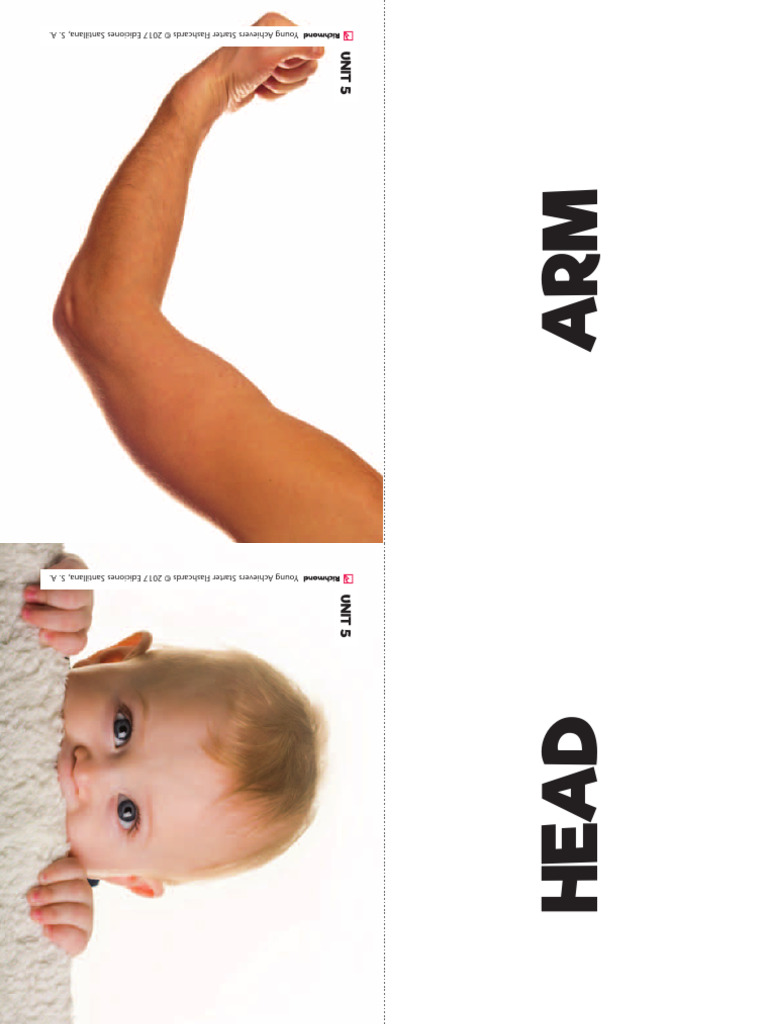 YAS Flashcards-U5 | PDF