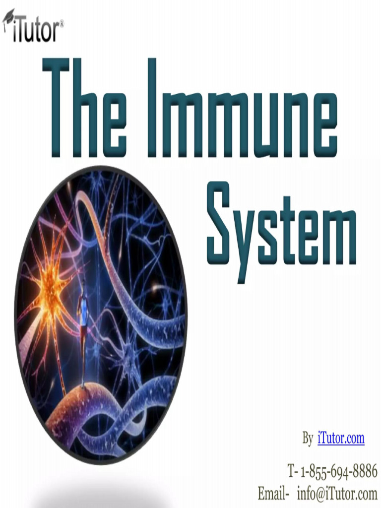 Immune System | PDF