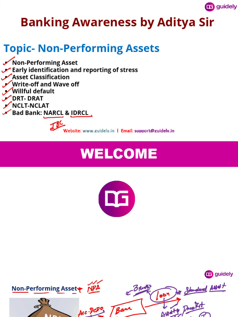 NPA Explanation-1744020512457 | PDF