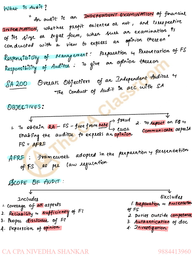 Audit Wow Notes | PDF
