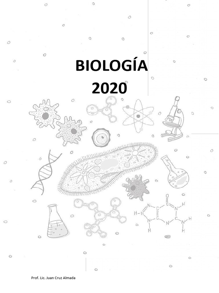 Cuaderniillo Ort | PDF | Biología Celular) | Membrana celular