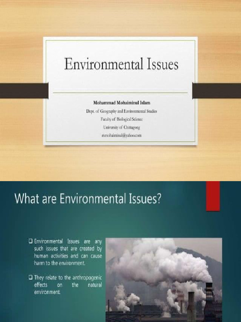 Environmental Issues Safety | PDF