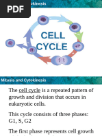 Mitosis Mover Webquest Bioman PDF | PDF | Mitosis | Chromosome