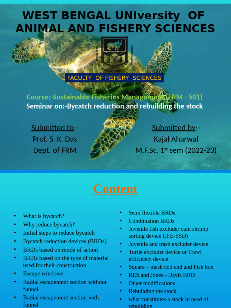 Bycatch Reduction and Rebuilding The Stock | PDF | Trawling | Overfishing