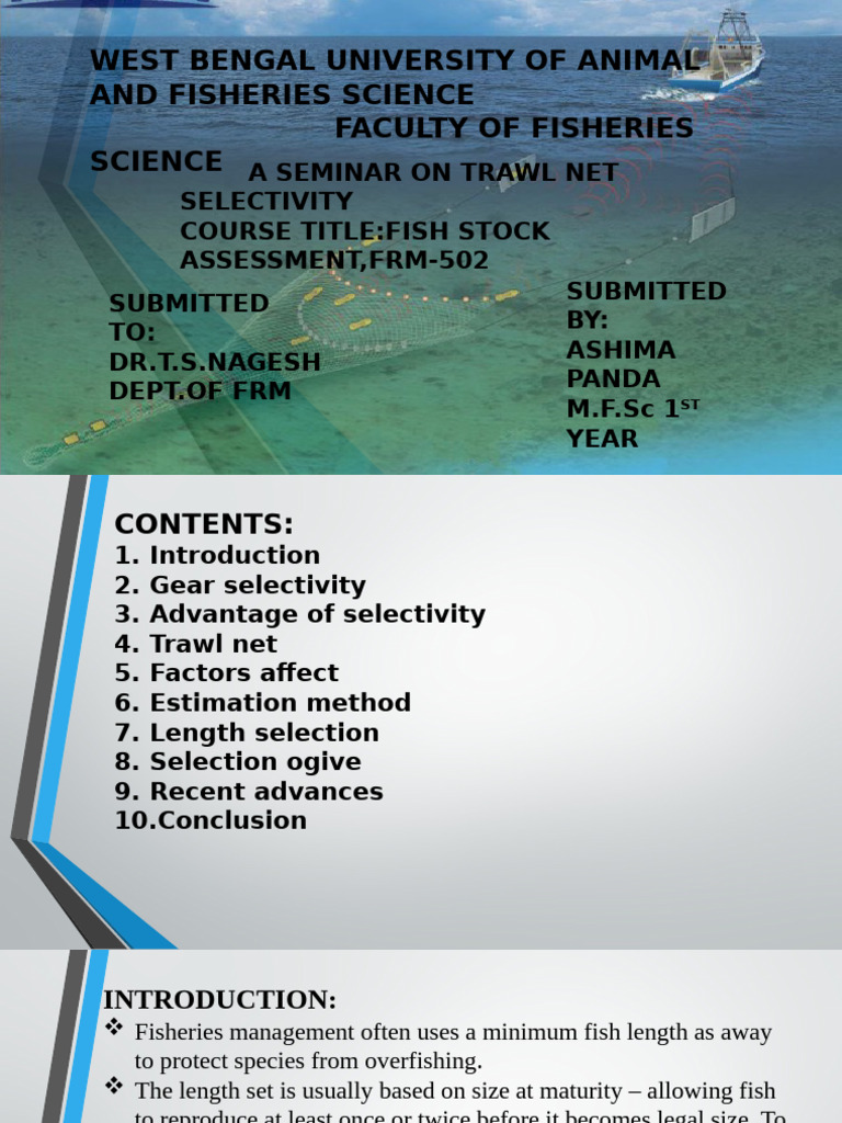 Trawl Net Selectivity | PDF | Trawling | Marine Biology
