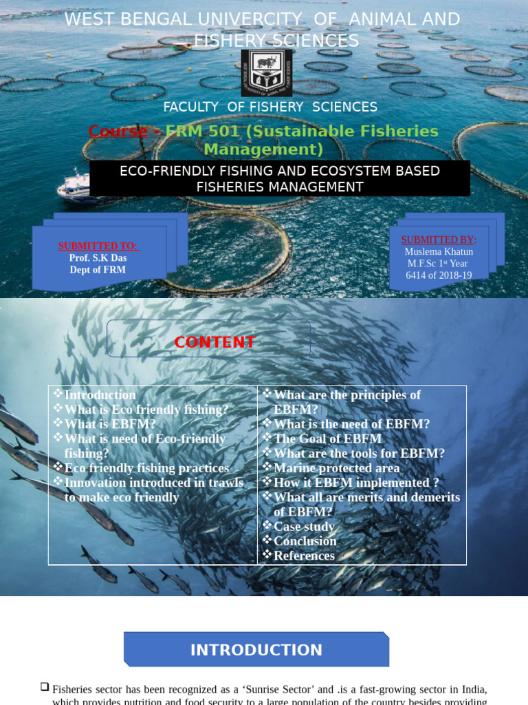 ecofriendly fishing and ecosystem based fisheries management | PDF | Trawling | Fisheries Management