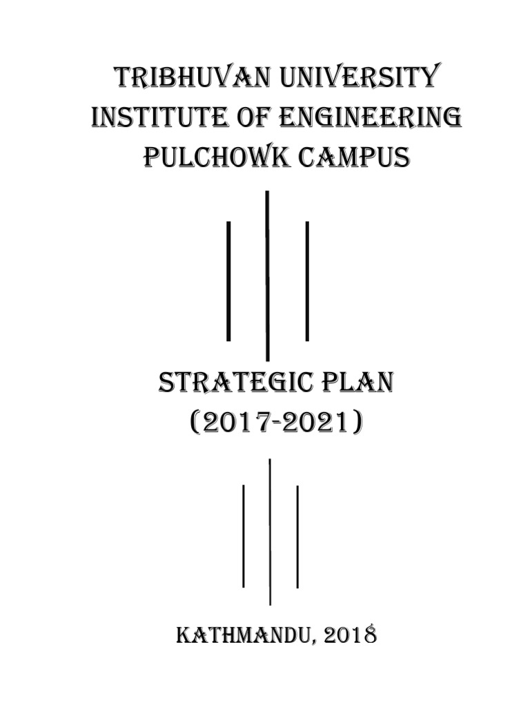 Revised Strategic Plan Final2075!12!08 | PDF | Governance | Strategic ...