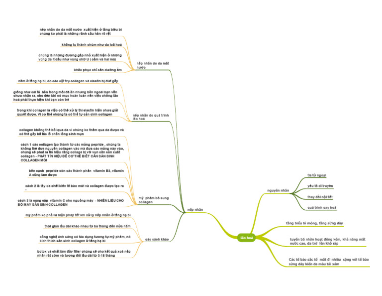 lam mờ giảm nếp nhăn lão hoá. | PDF
