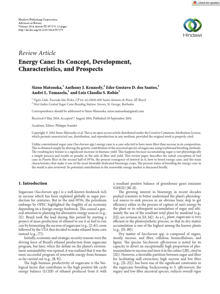 Energy Cane Its Concept Development Characteristics and Prospects | PDF ...