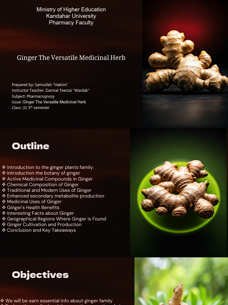 Ginger: Origin, Uses, and Benefits | PDF | Ginger