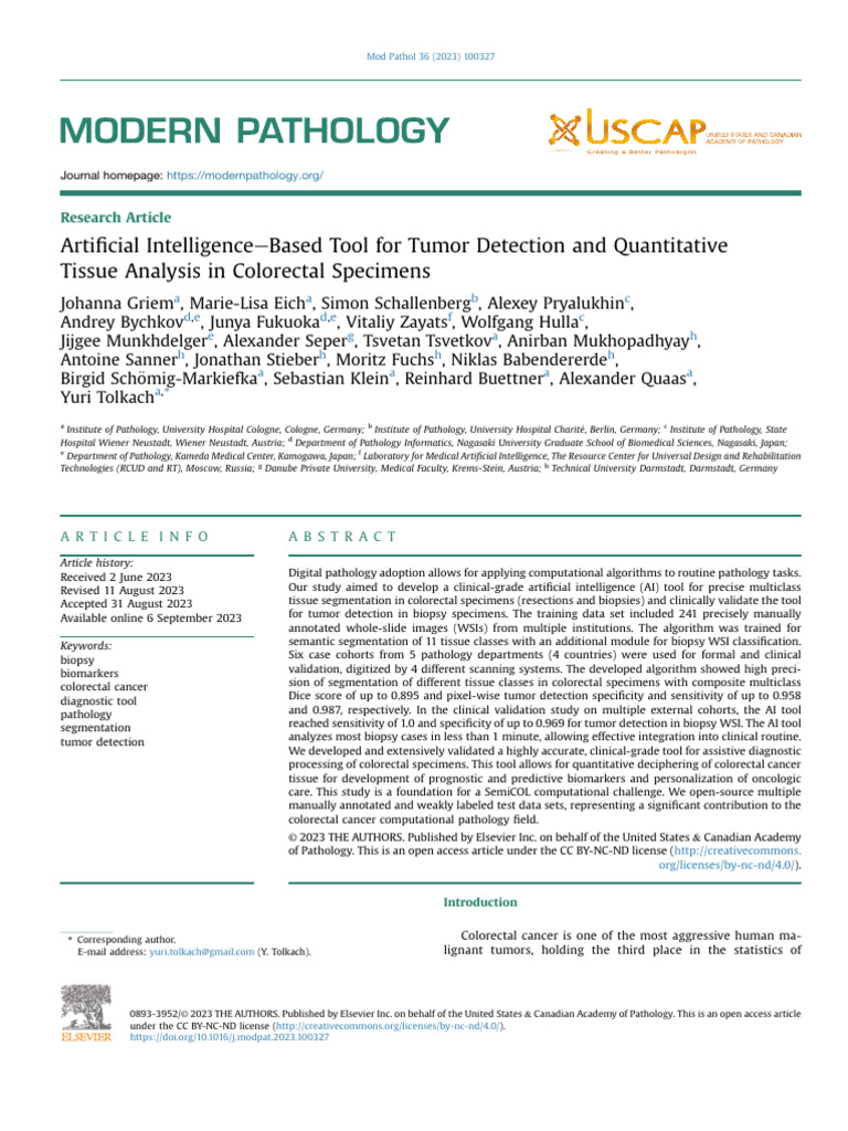 Artificial Intelligence-Based Tool For Tumor Detection and Quantitative Tissue Analysis in ...