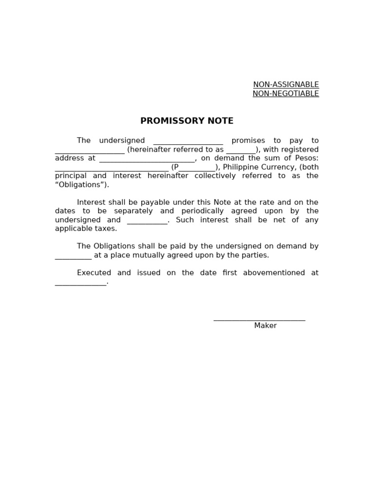 Promissory Note | PDF