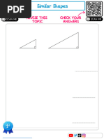 Similar Shapes Exercises and Solutions | PDF | Rectangle | Triangle