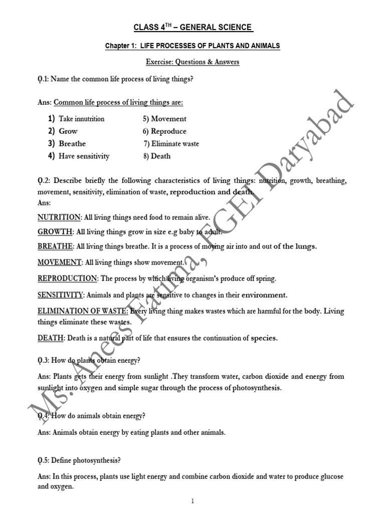 4th Class G Science Noties Chap 1 | PDF | Foods | Plants
