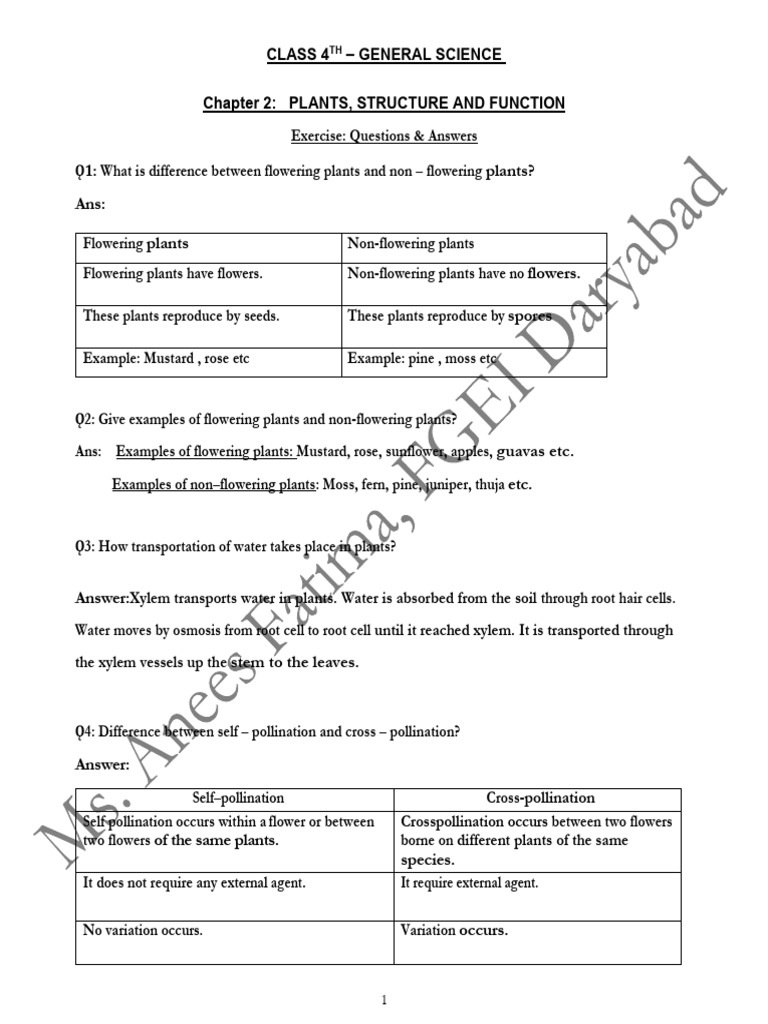 4th Class G Science Noties Chap 2 | PDF | Flowers | Plants