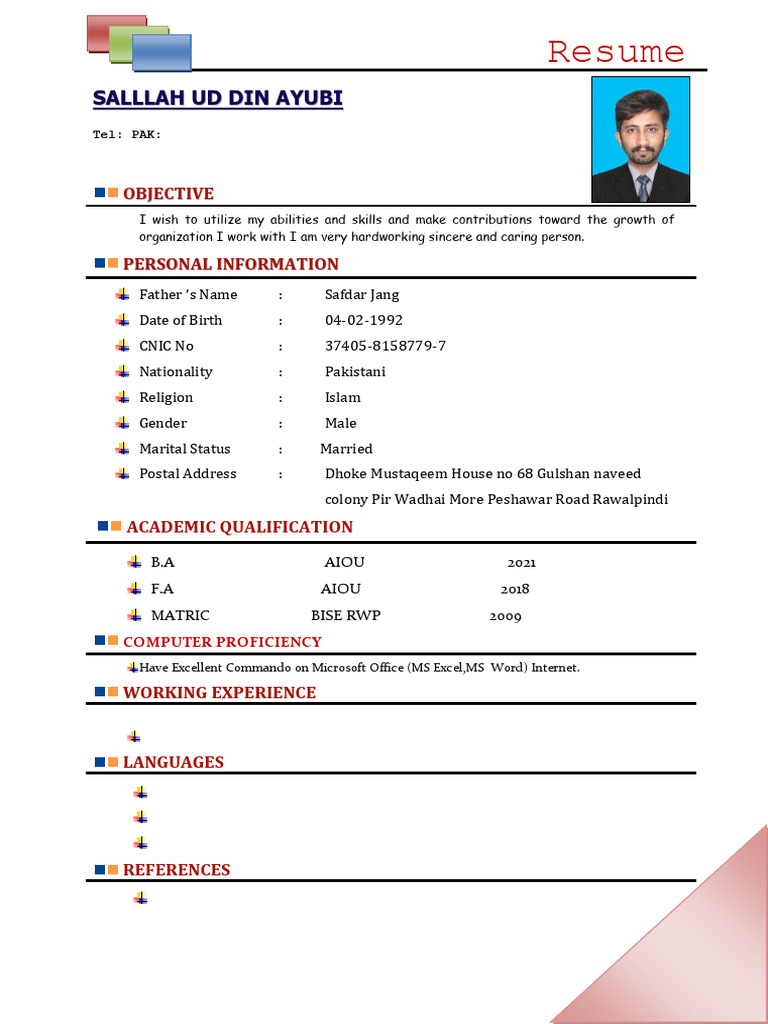 Salahuddin CV | PDF
