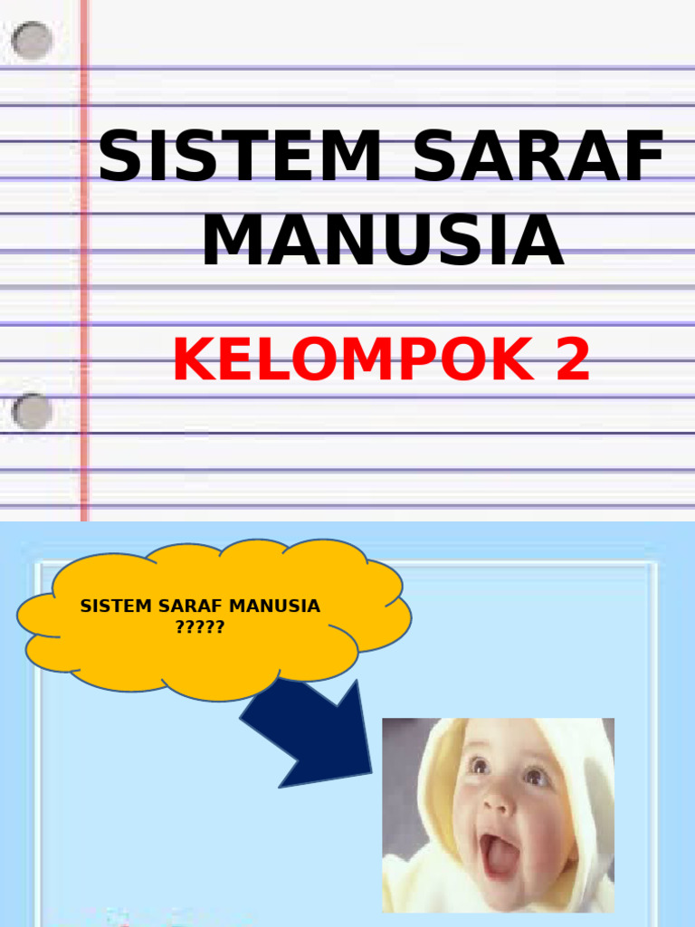 Struktur dan Fungsi Sistem Saraf Manusia | PDF