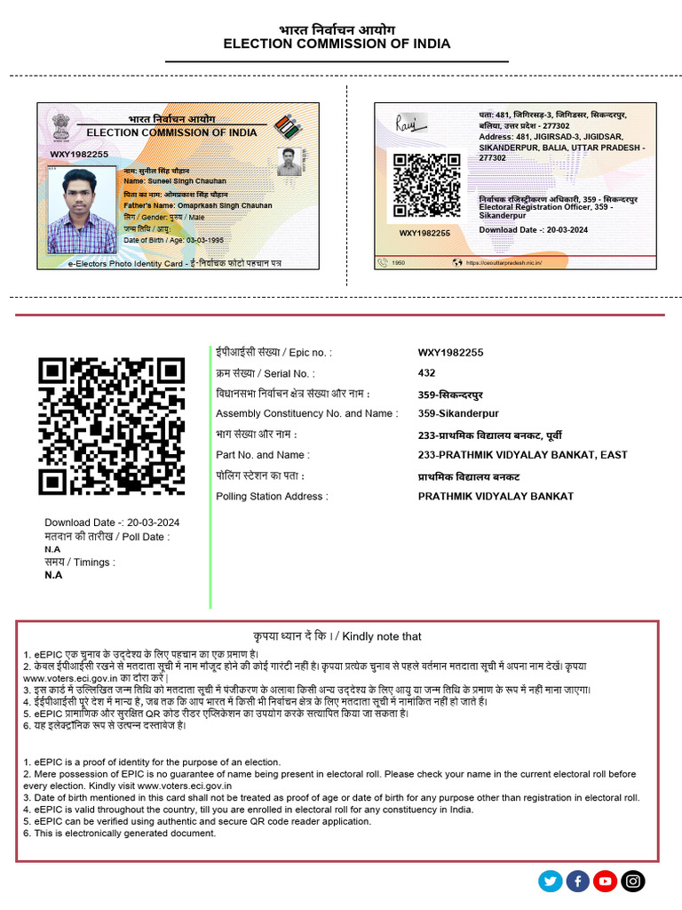 Voter ID | PDF