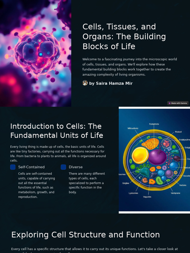 Cells Tissues and Organs the Building Blocks of Life | PDF | Digestion ...