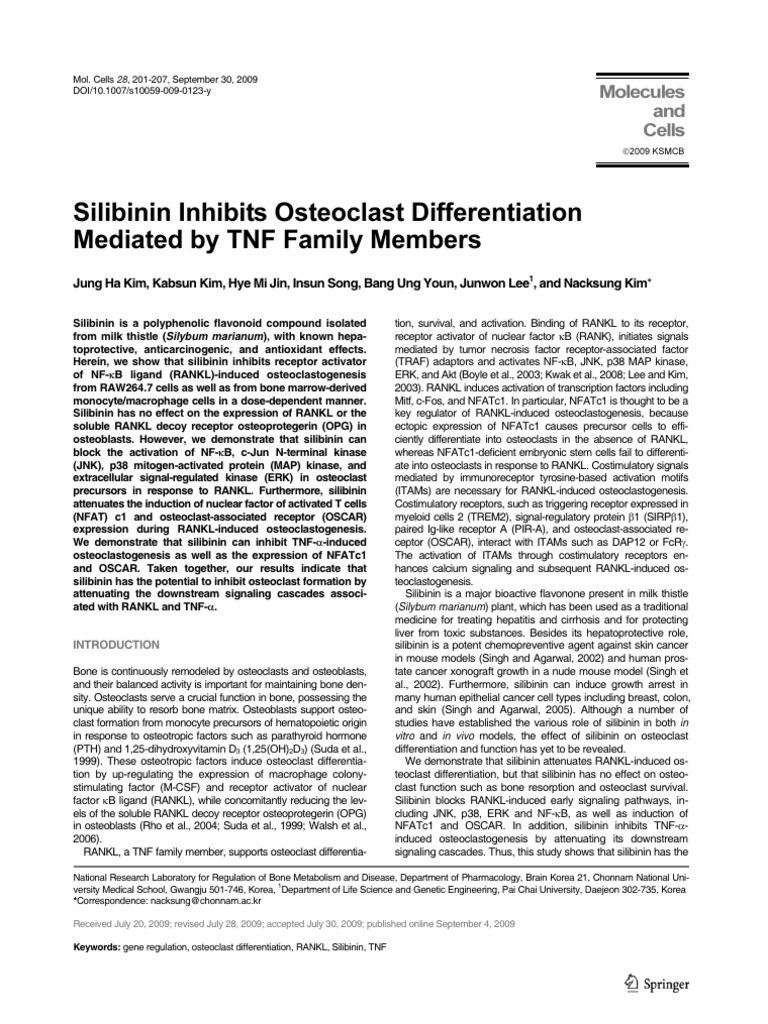Silibinin's Role in Osteoclast Inhibition | PDF | Nf κb | Biology