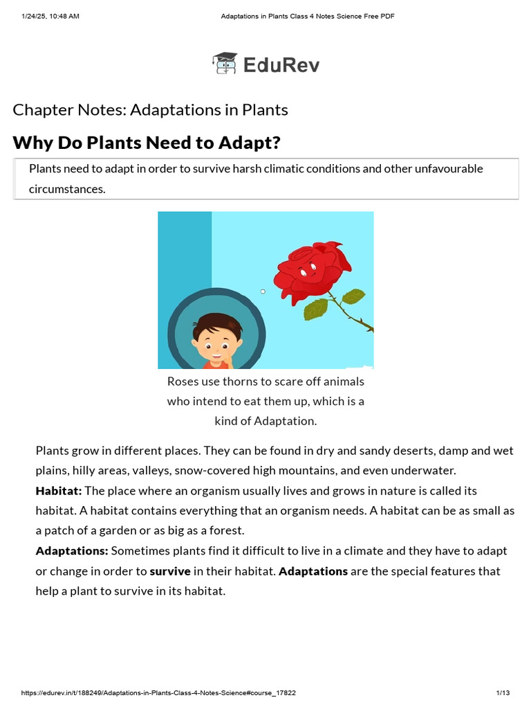 1 Adaptations in Plants Class 4 Notes Science Free PDF | PDF | Habitat ...