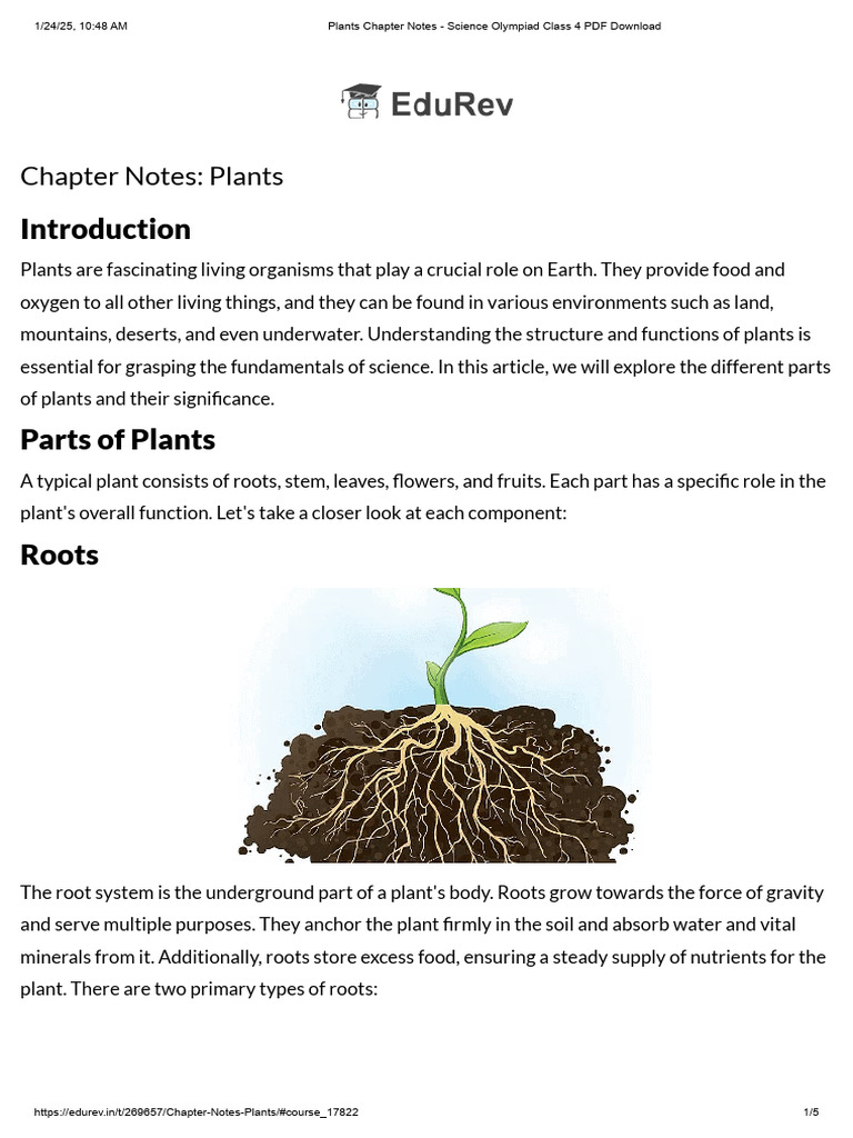 Parts And Functions Of Plants For Class 4 Pdf Leaf Root