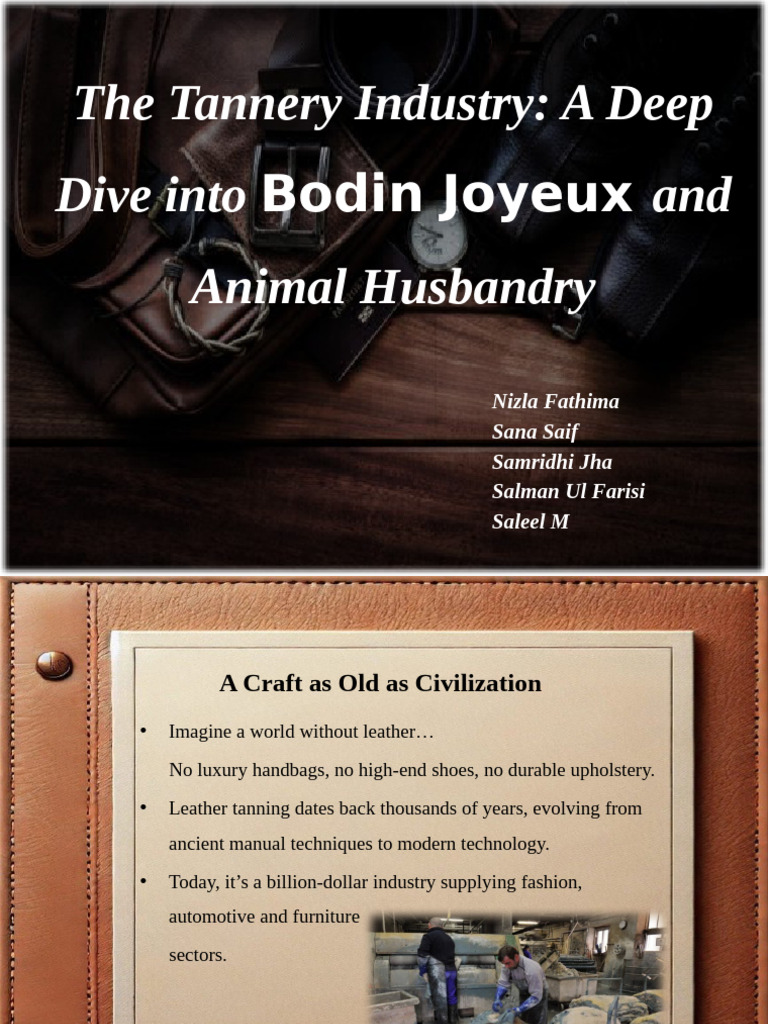 The Legacy of Bodin Joyeux Tannery | PDF | Leather