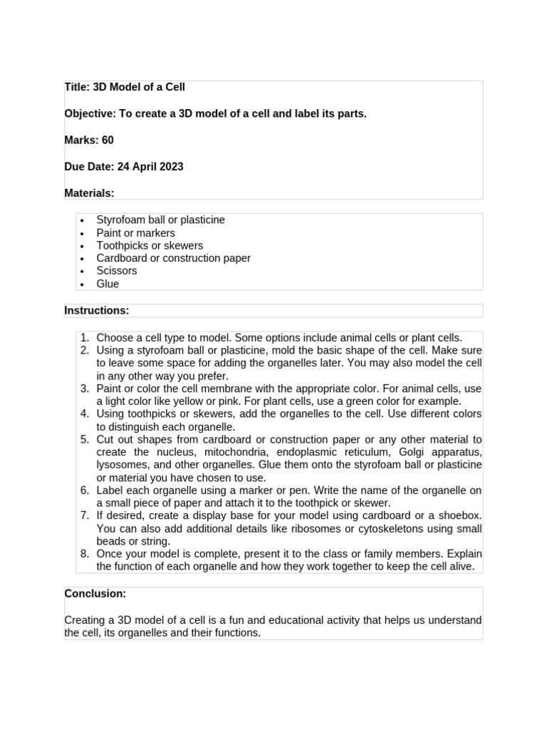 3D Model of A Cell Instruction | PDF | Cell (Biology) | Organelle