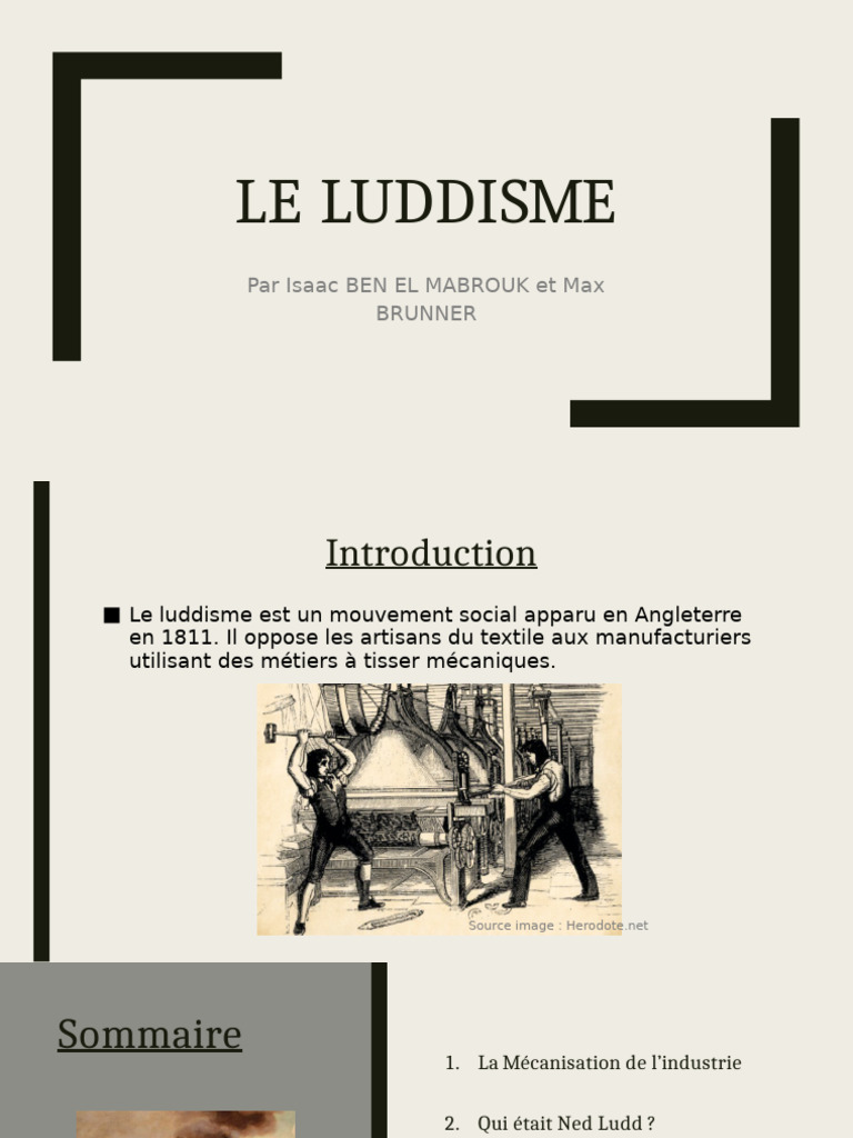 Le Luddisme Pdf