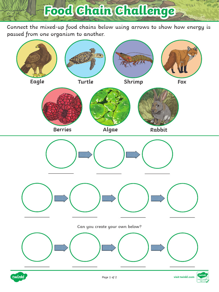T TP 1724397509 Food Chain Challenge Worksheet - Ver - 1 | PDF