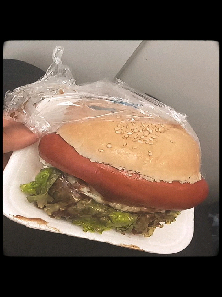 Document_1745486026651 burger | PDF