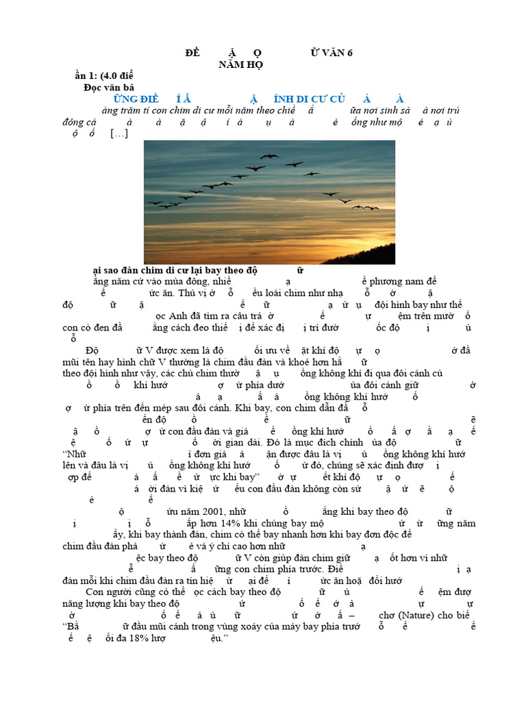 Đề 17 - NHỮNG ĐIỀU BÍ ẨN TRONG TẬP TÍNH DI CƯ CỦA CÁC LOÀI CHIM | PDF