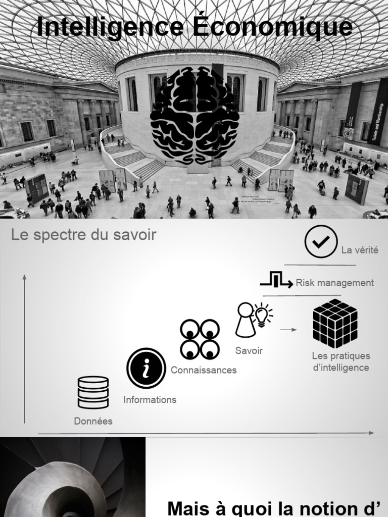 Comprendre l'Intelligence Économique | PDF | Gestion des connaissances ...