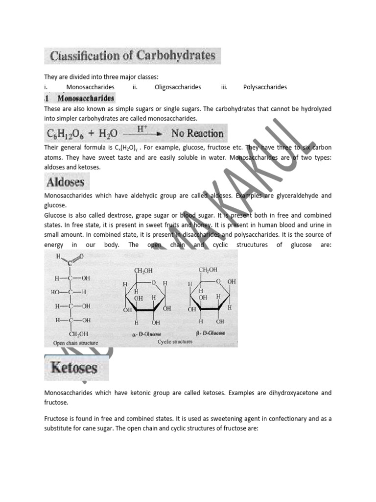 Biochemistry Chapter Complete Typed Notes | PDF | Carbohydrates | Glucose